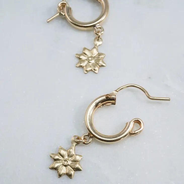 Fiore - JoeLuc – Fred & Co.